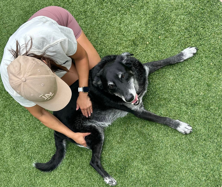 Perth Canine Remedial Massage & Personal Trainer – I Love Dogs & Fitness